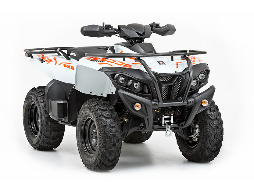 Quads: Access Motor – Reiner Tramm – Motorgeräte